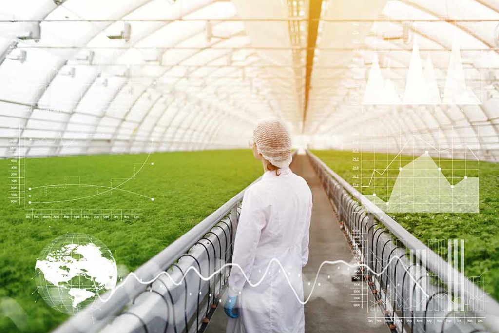 Grow Room Control: Temperature, Humidity, VPD, and more - Global Garden