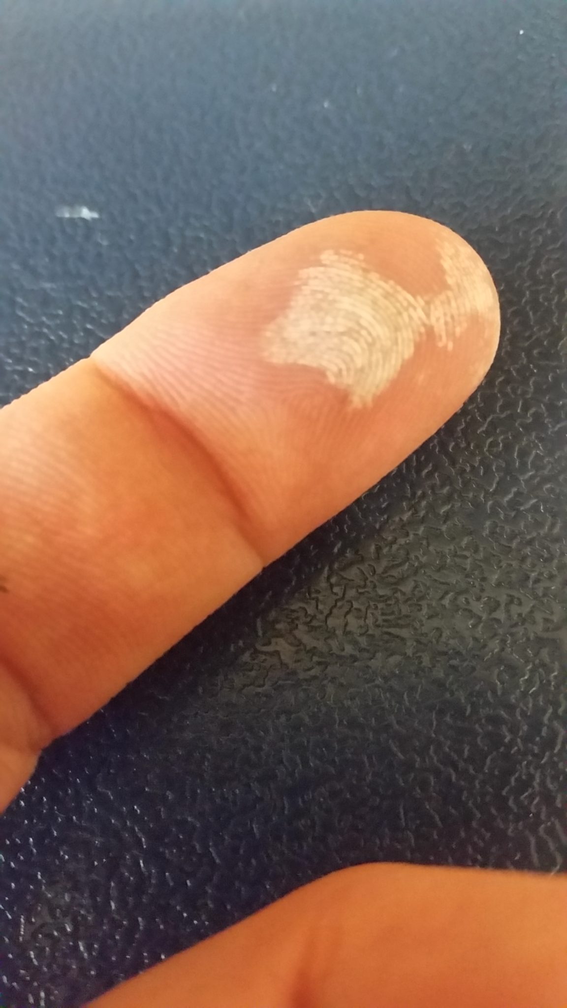 Best Way to Clean a Grow Room - Global Garden