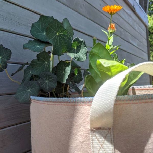 How to use fabric grow bags to grow bigger better crops