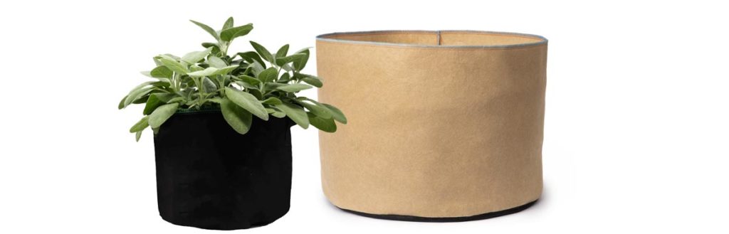 How to use fabric grow bags to grow bigger better crops