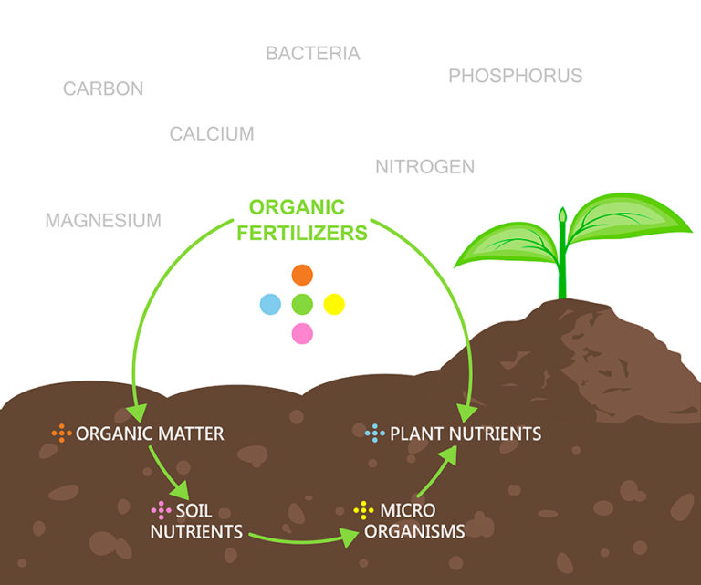 What are Organic Nutrients - Global Garden