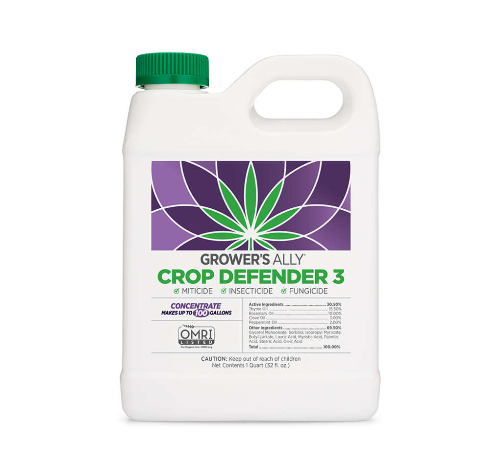 How to Get Rid of Spider Mites - Global Garden