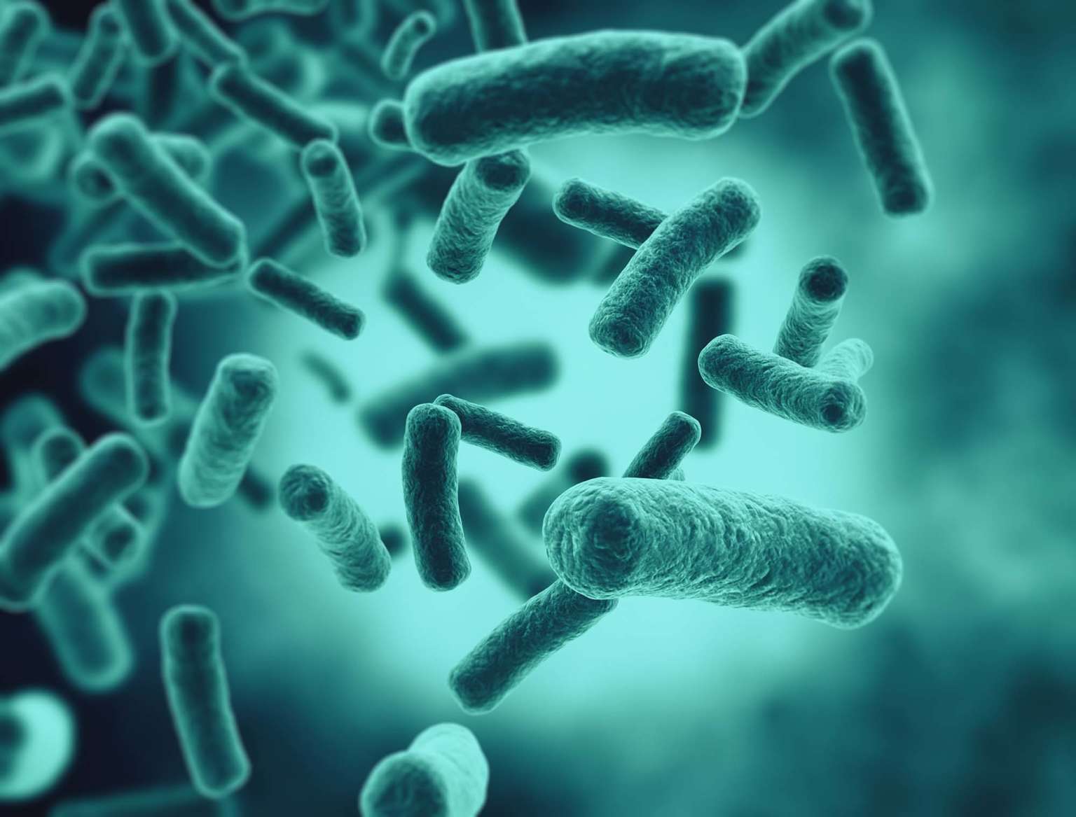 How Do Bacteria Get Nutrition?