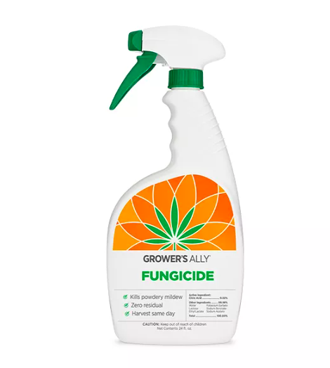 Natural Fungicide for Plants : How to Get Rid of Powdery Mildew and ...