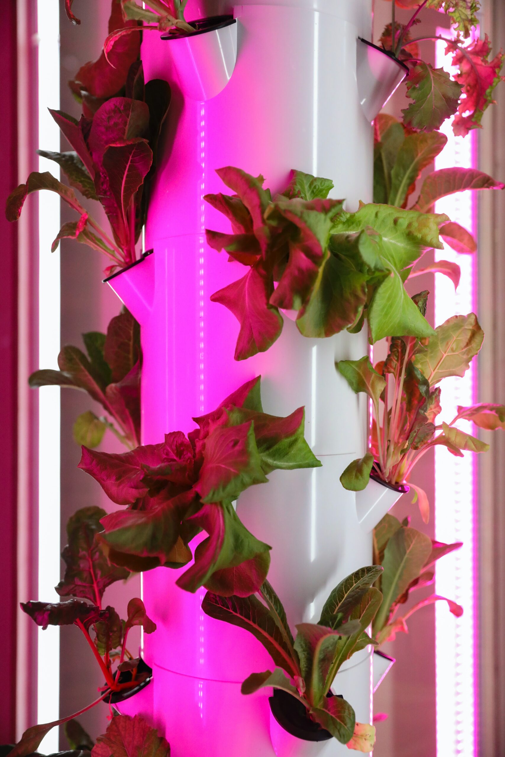 How To Start A Profitable DIY Shipping Container Farm