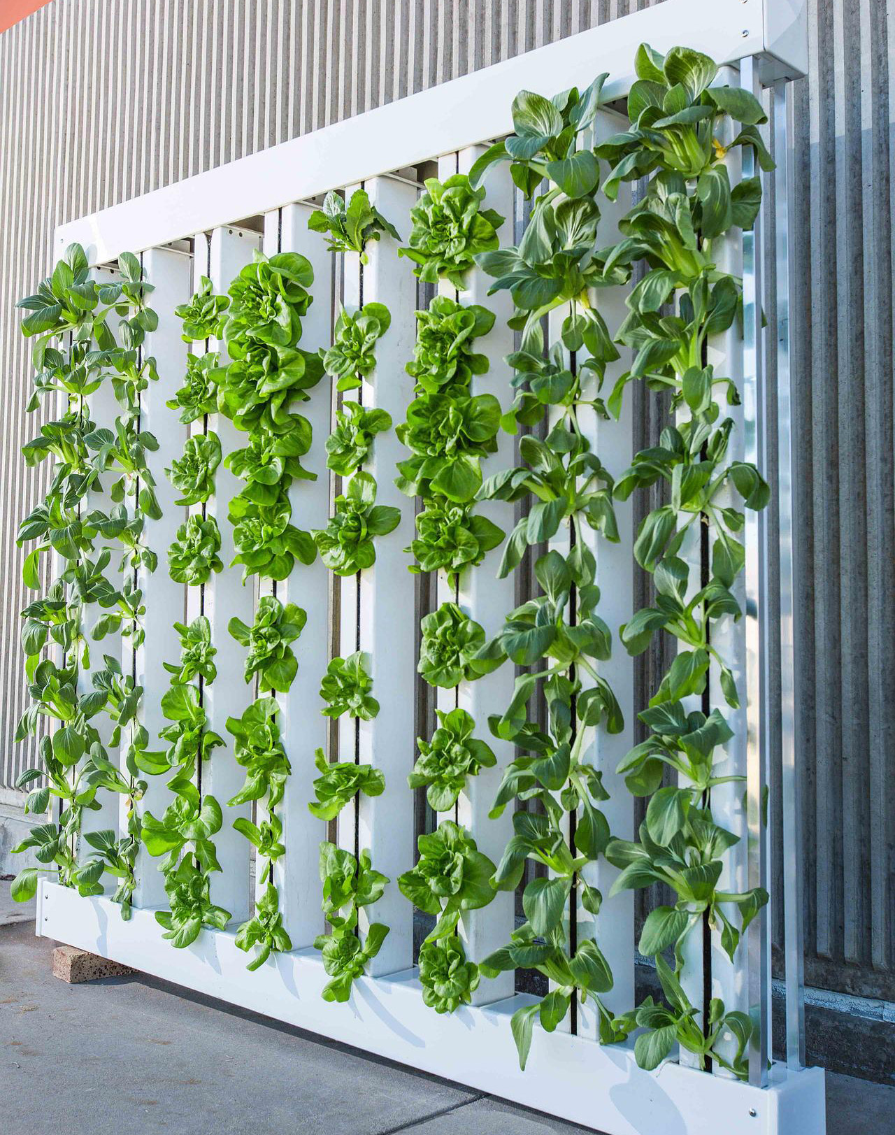 A Quick Introduction To Vertical Farming Methods - Global Garden