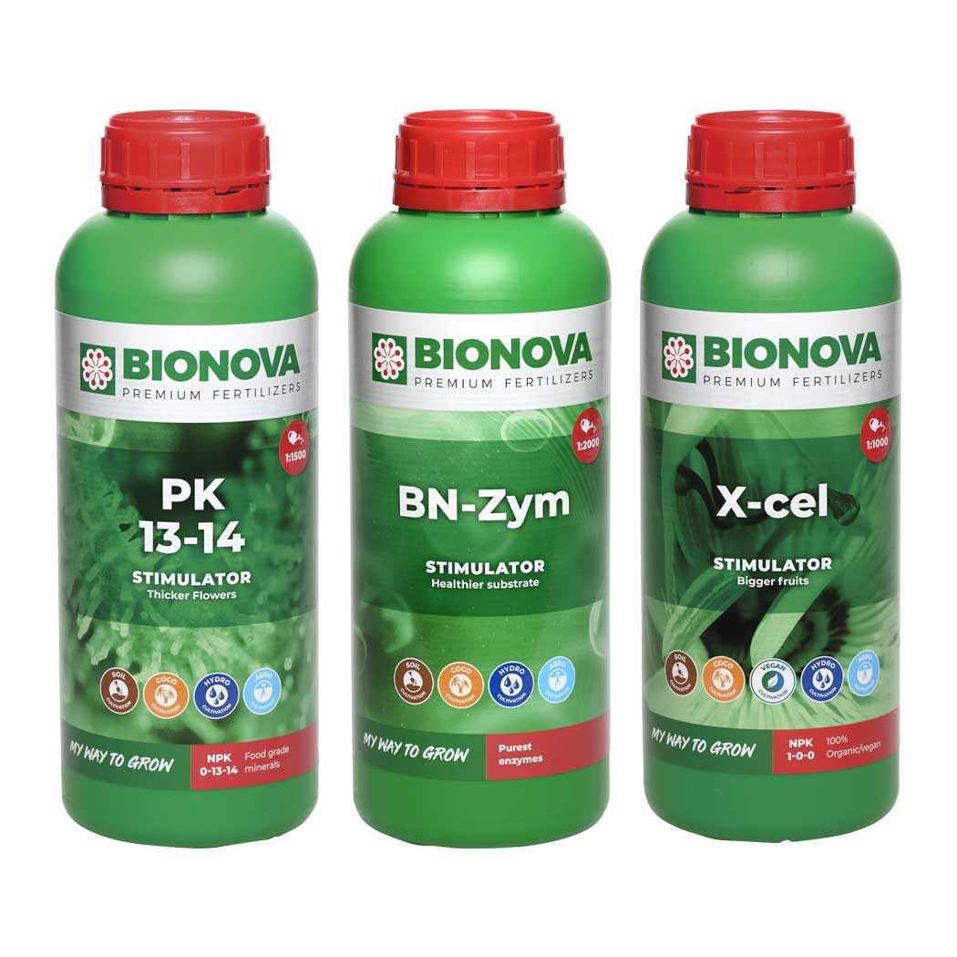 Kelp meal fertilizer: All you need to know - Global Garden