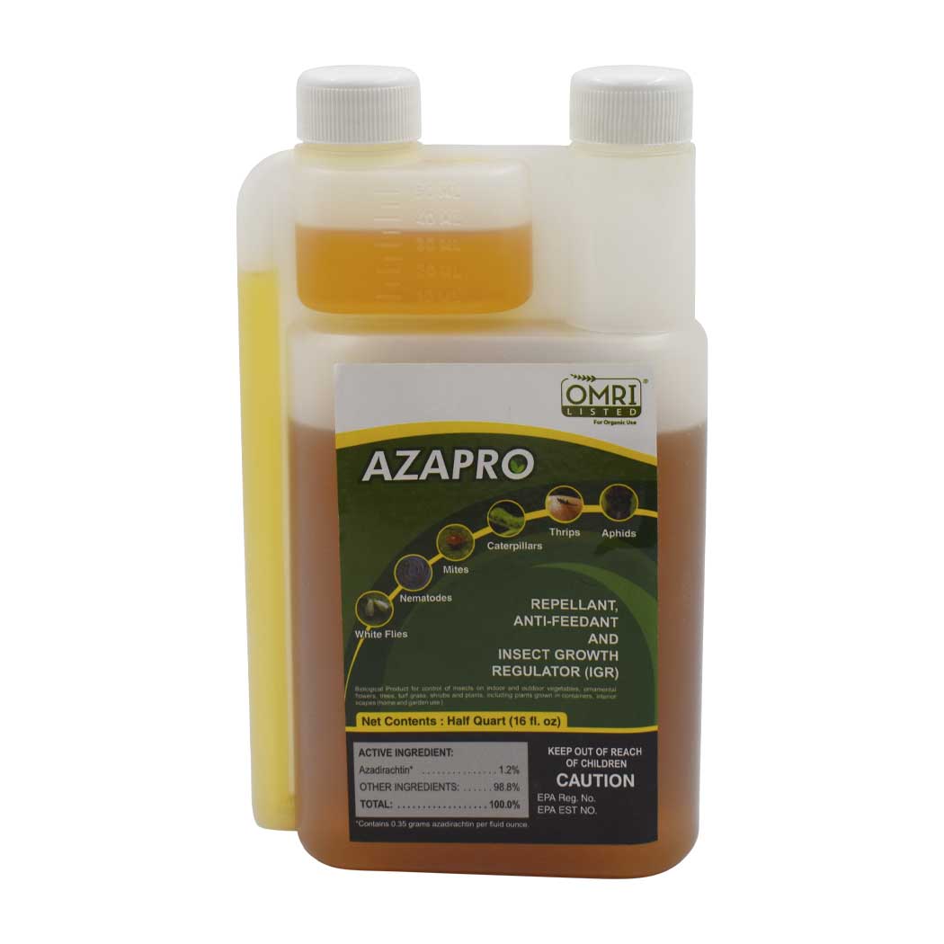 What is Azadirachtin? Nature’s Powerful Pest Control - Global Garden