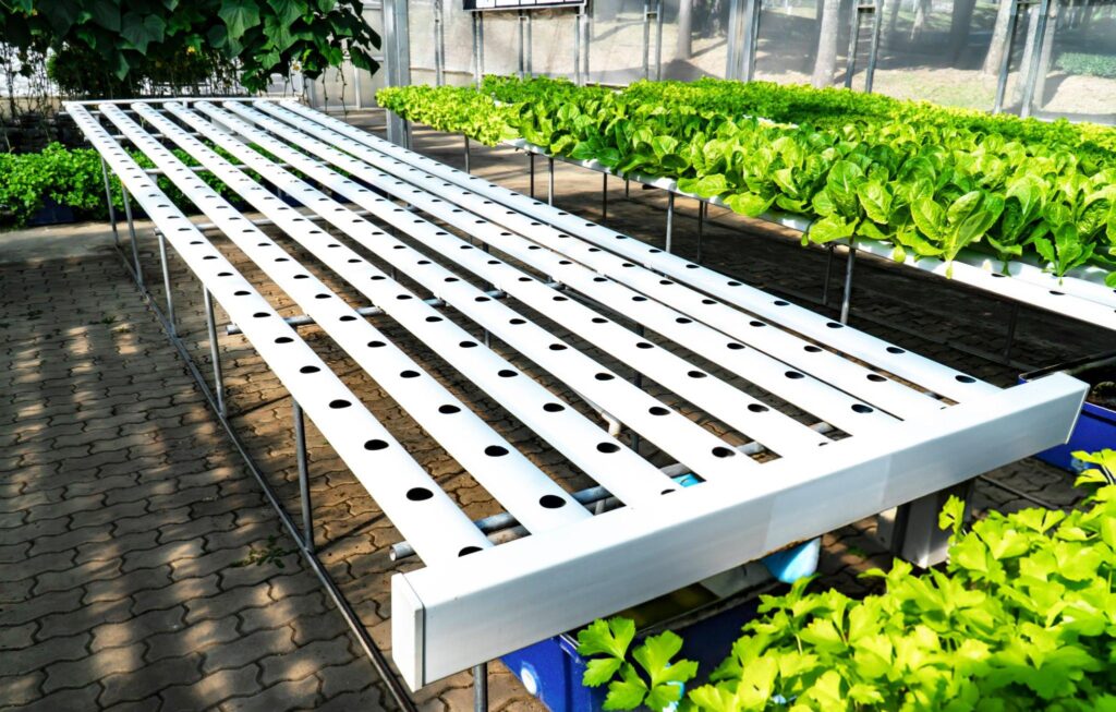 Why Your Hydroponic Garden Needs an EC Meter Now More Than Ever ...