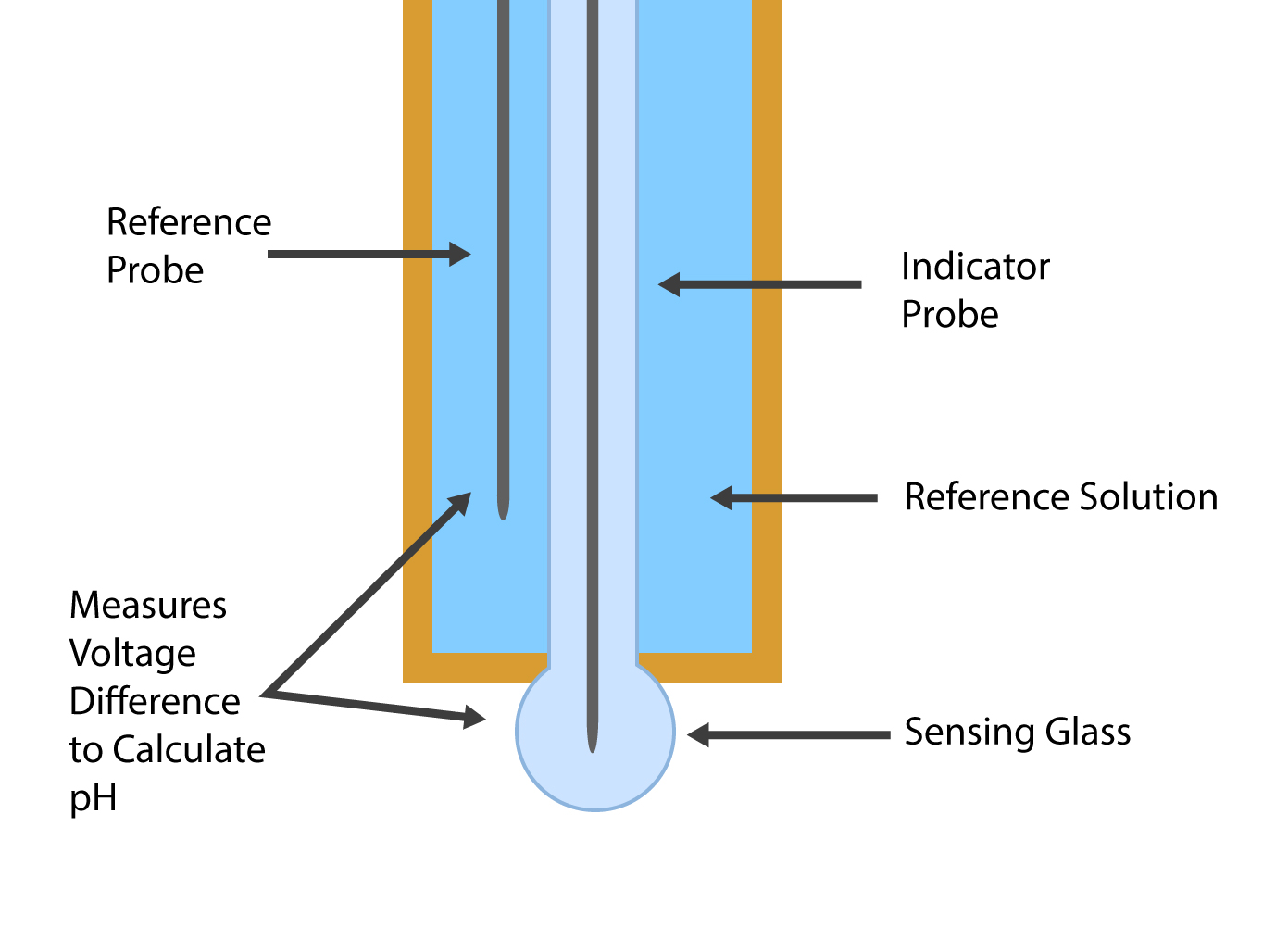 What Makes a pH Meter Work