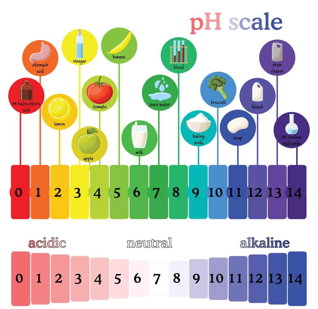 How do pH Meters Work? - Global Garden