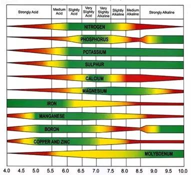 What Does pH Measure and How to do it at Home - Global Garden