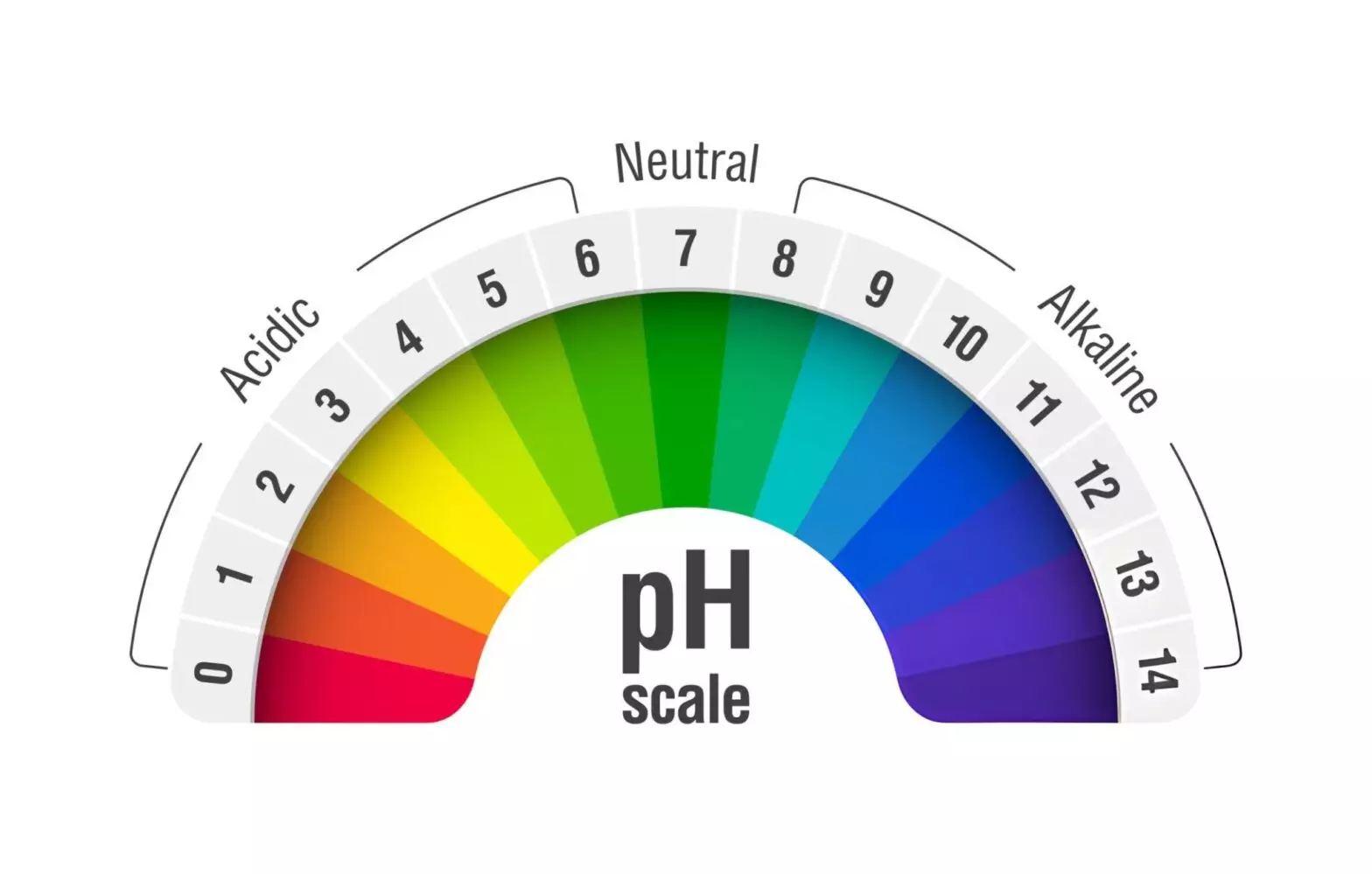 What Does pH Measure and How to do it at Home - Global Garden